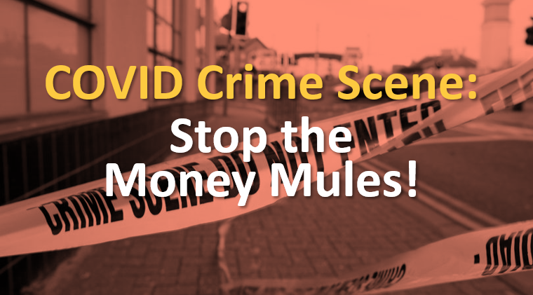 COVID Crime: What Is Money Muling, and How Can We Fight It?
