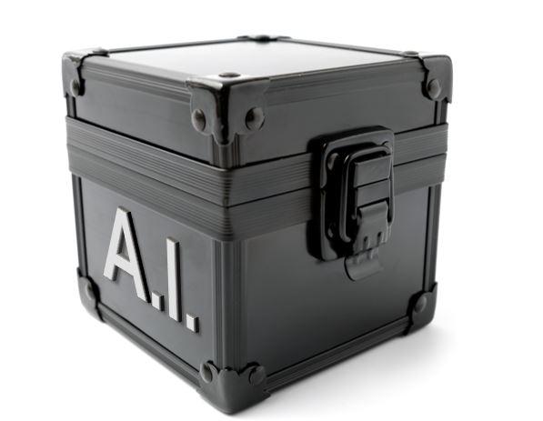 How to Make "Black Box" Neural Networks Explainable