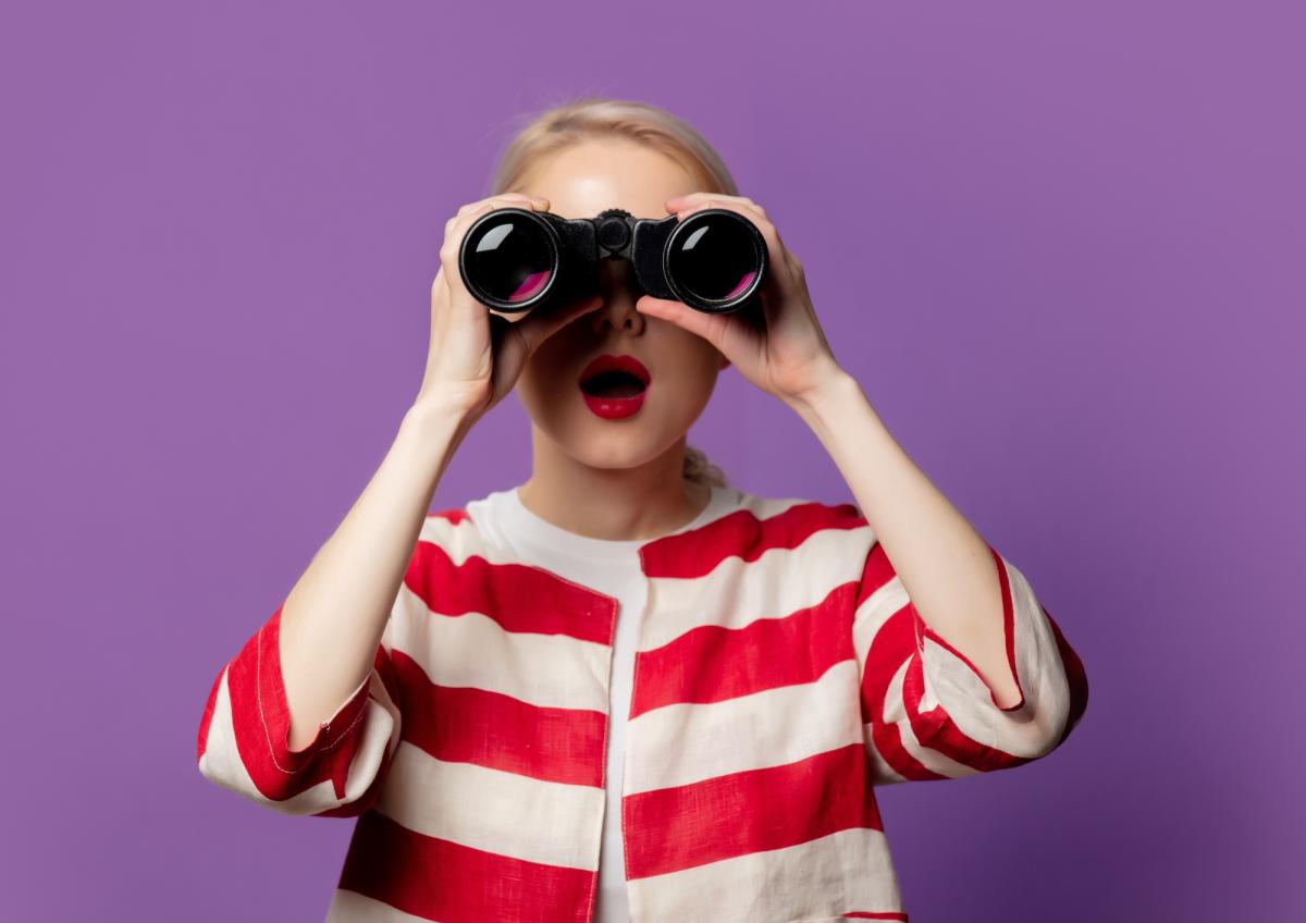 2024 Scams Impact Survey: Sweden | FICO